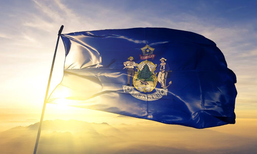US States That Have Redesigned Their Flags Over the Years